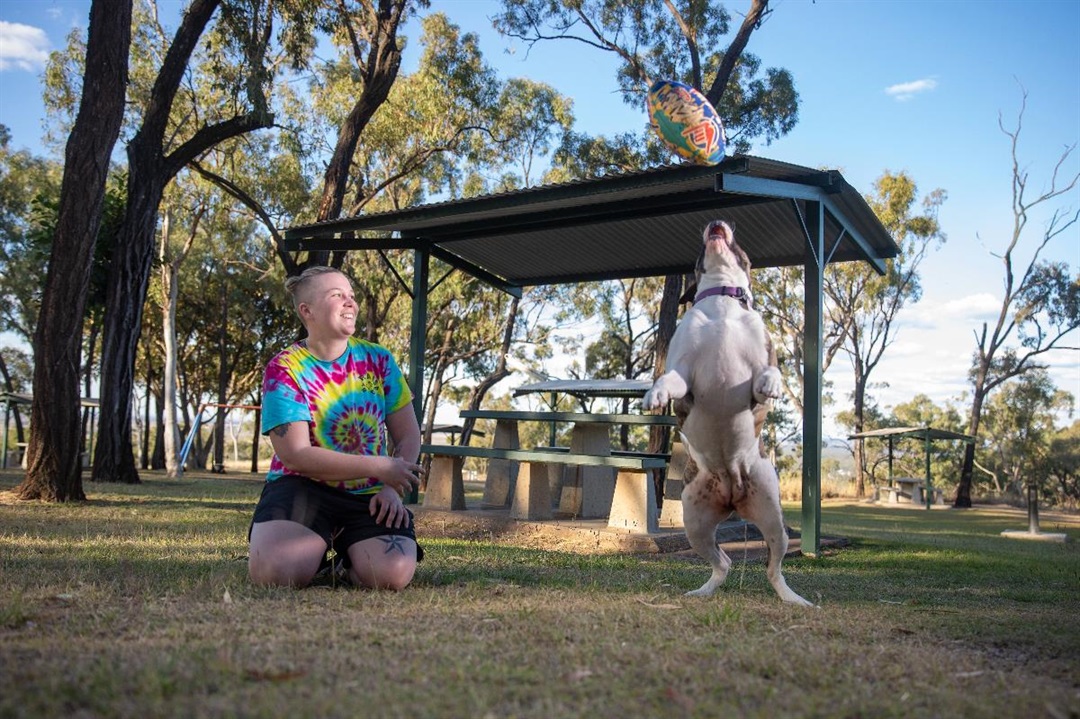 Companion Animals - Isaac Regional Council