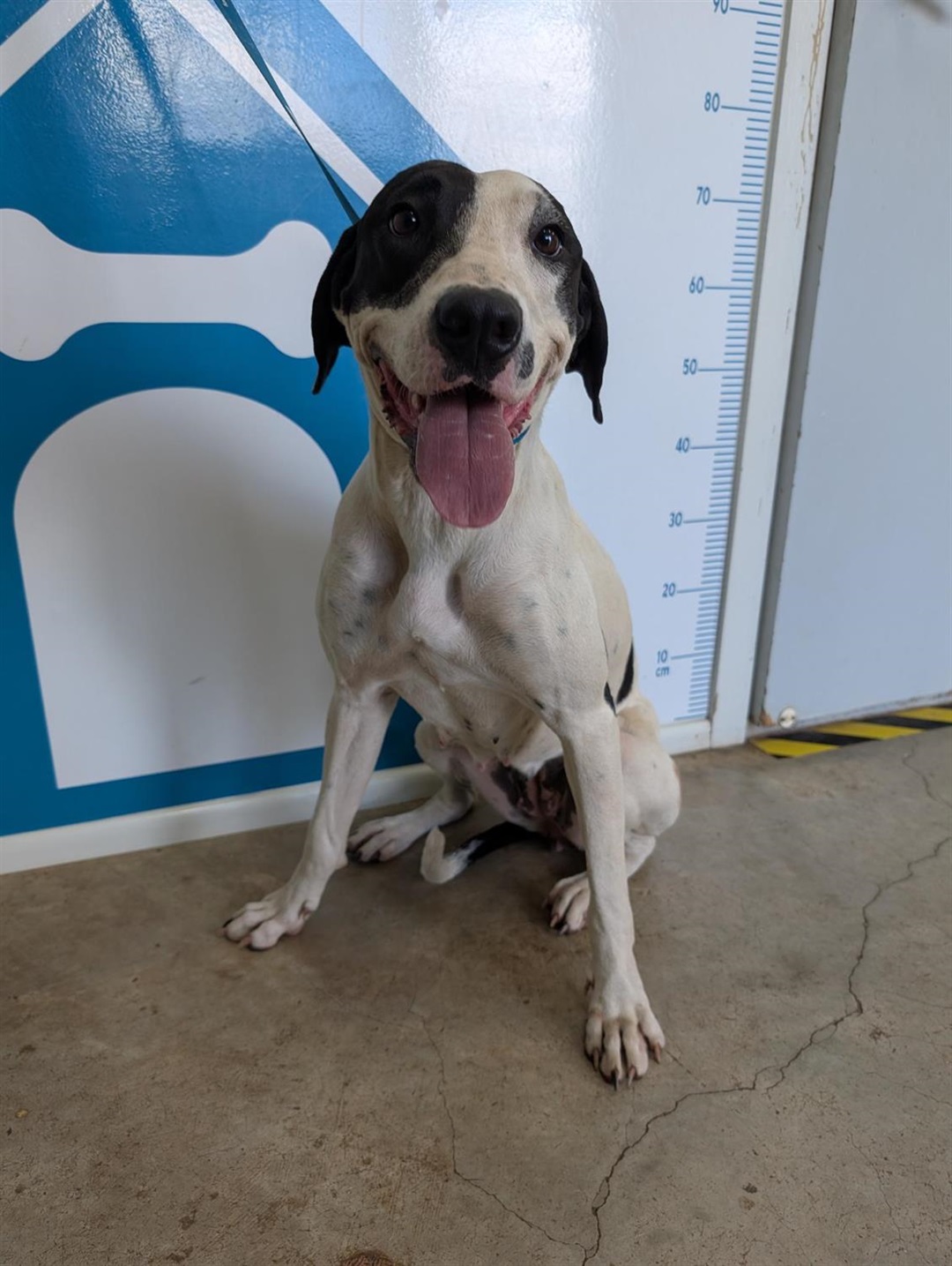 Unknown - Isaac Regional Council