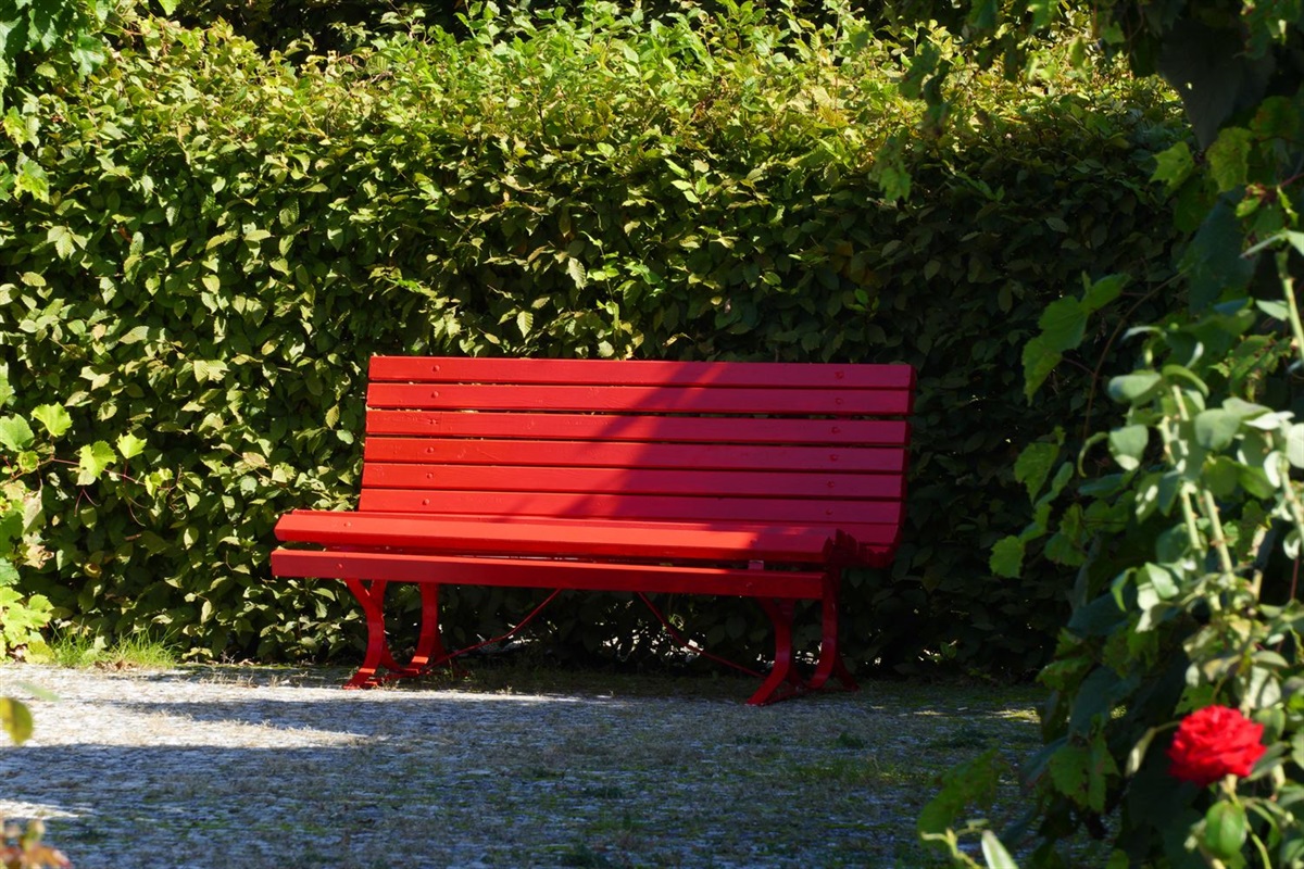 Red bench project raises awareness about domestic violence - Isaac ...