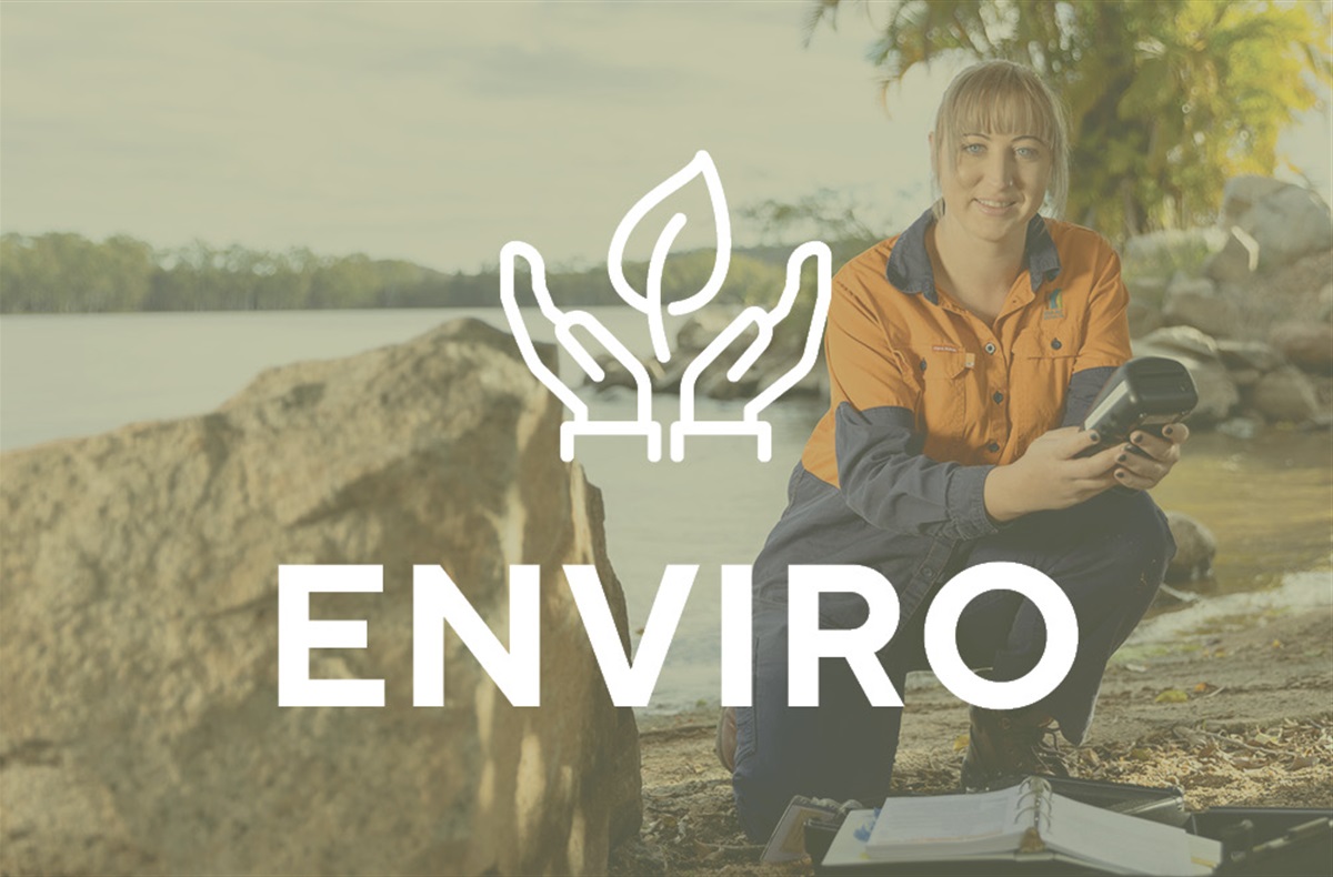 Flying Fox colony Ivan Bettridge Park and Centenary Park, Clermont - Isaac Regional Council