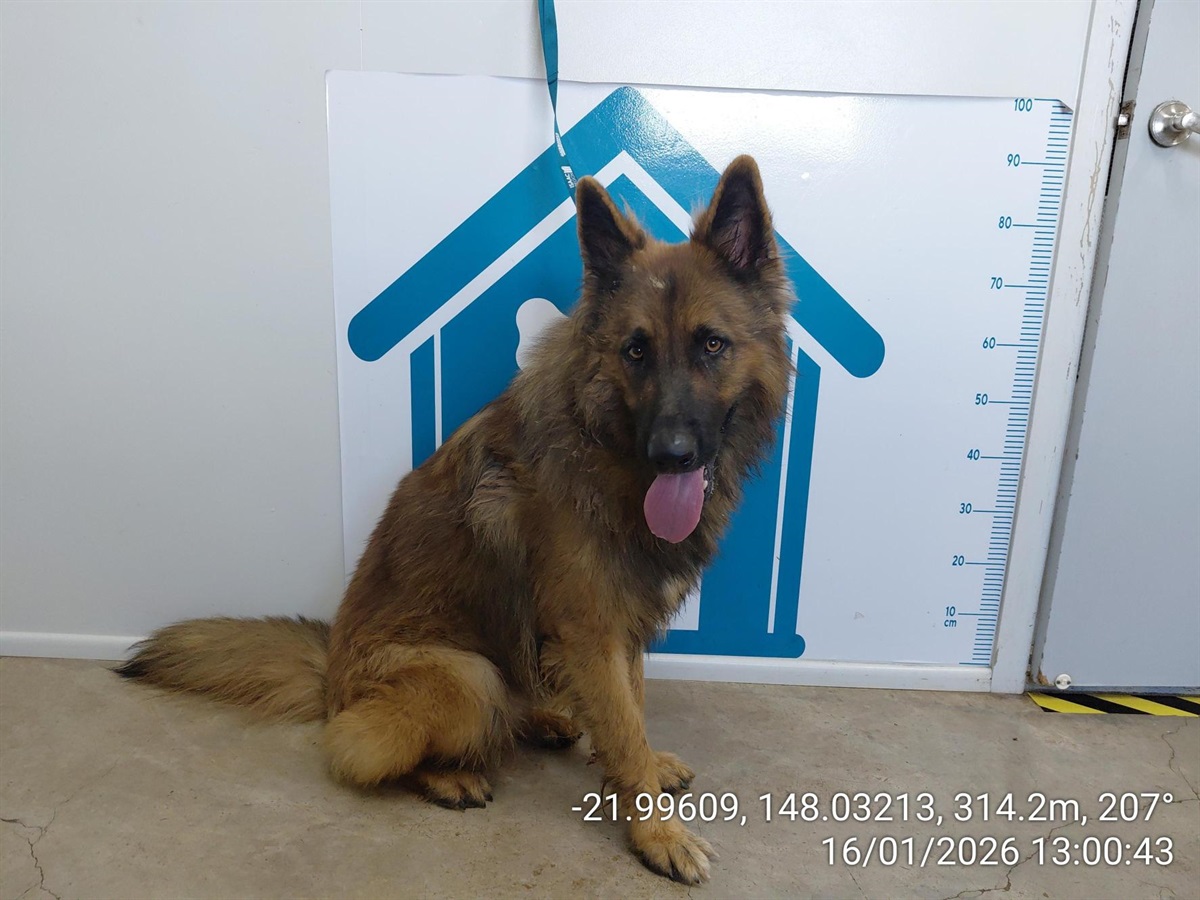 Unknown - Isaac Regional Council